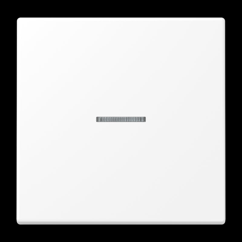 Jung LS RANGE Control Element/Central Plate Switchgear - LS990KO5WWM ...