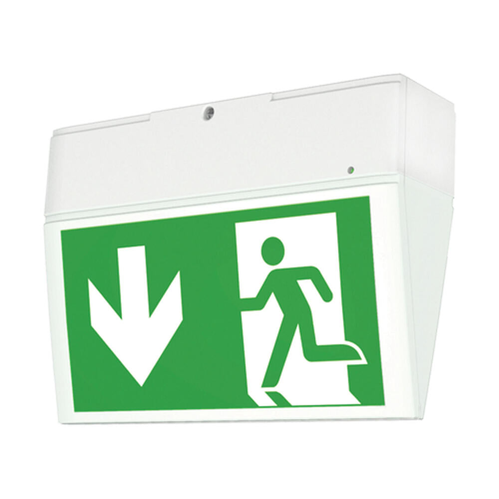 Eaton Euro X LED Emergency Exit Light 3H Autotest - 40071354901 ...